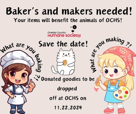 Oneida County Humane Society | Humane Society of Oneida County