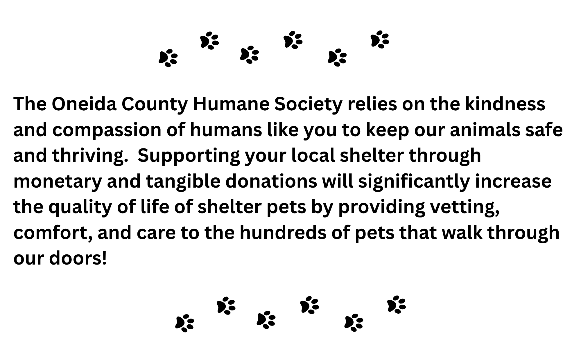 Oneida County Humane Society | Humane Society of Oneida County