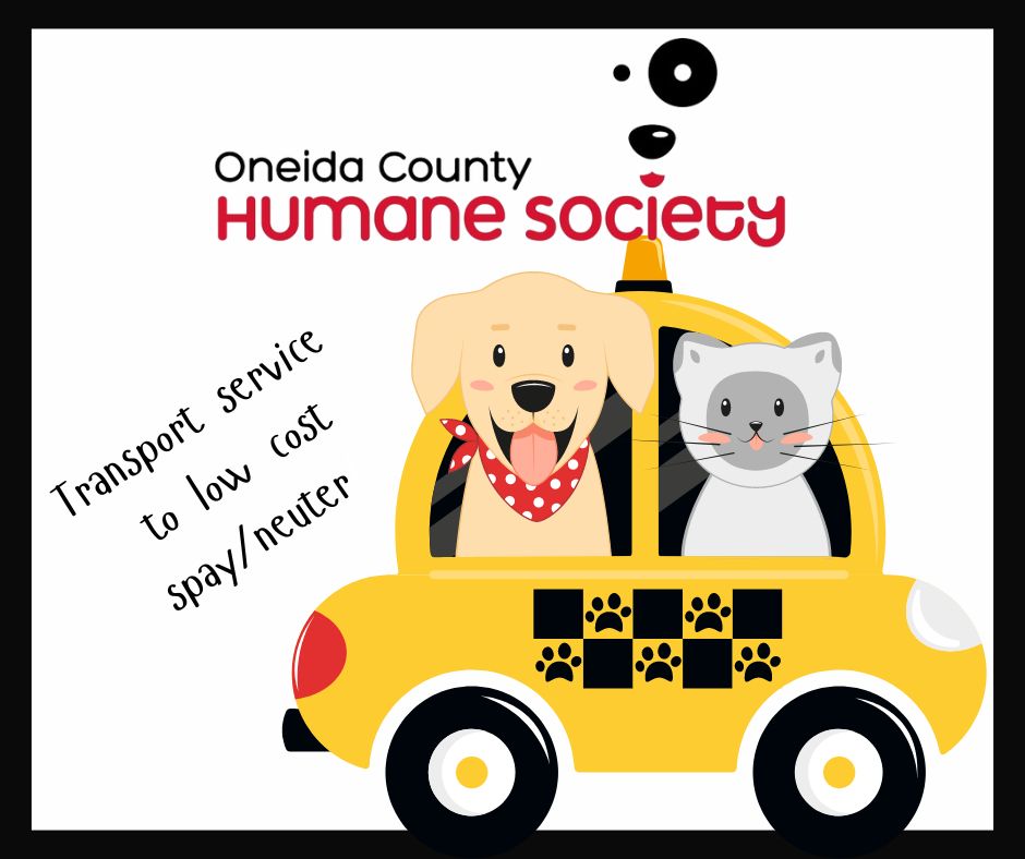 Oneida County Humane Society | Humane Society of Oneida County