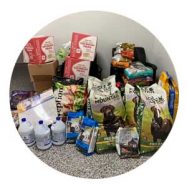 Oneida County Humane Society | Humane Society of Oneida County