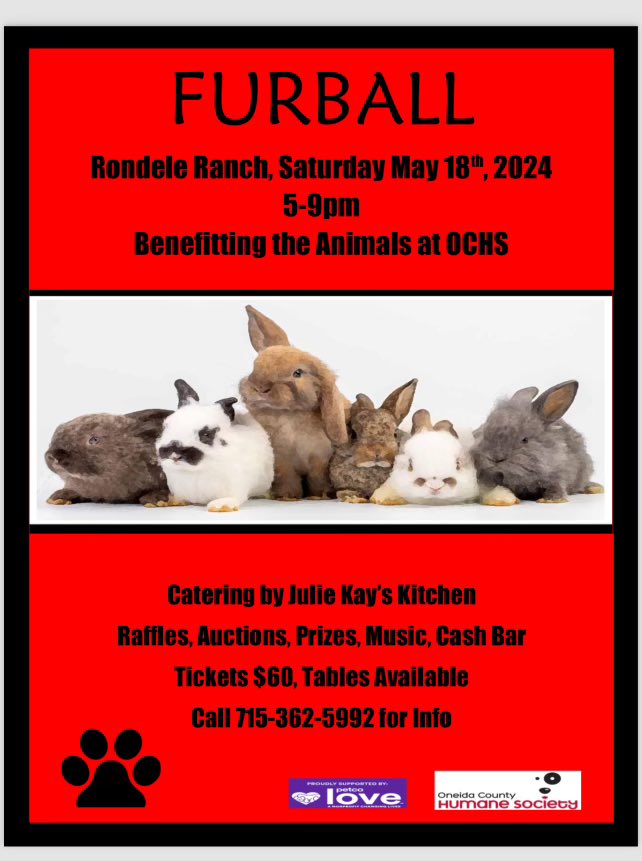 Oneida County Humane Society | Humane Society of Oneida County